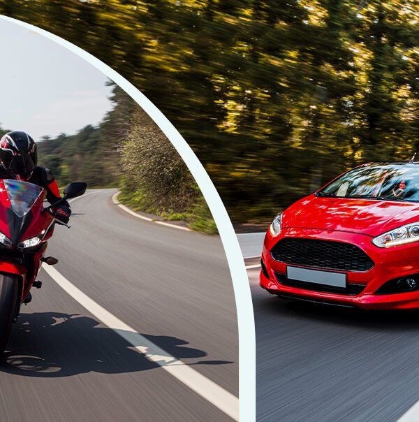 Nouveau : Zéphir Empruntéo › ZÉPHIR Courtier Grossiste