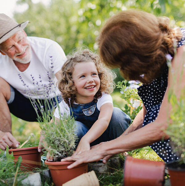 Nouveau partenariat pour Zéphir et la CMAM › ZÉPHIR Courtier Grossiste